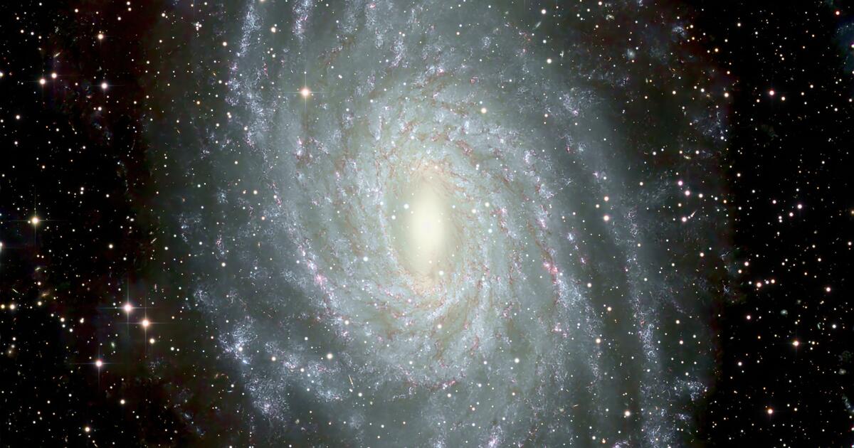 C101 (NGC6744) Pavonis | Telescope Live